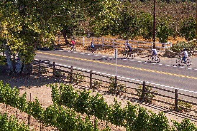 Wine Country E-Bike Guided Tour - w/o Lunch - What Makes This Tour Special?