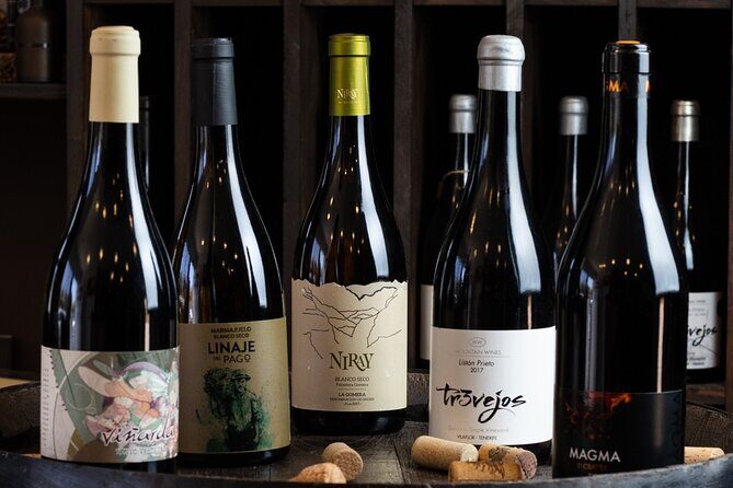Wine Tasting Experience in Tenerife - The Value of a $73 Wine Tasting in Tenerife
