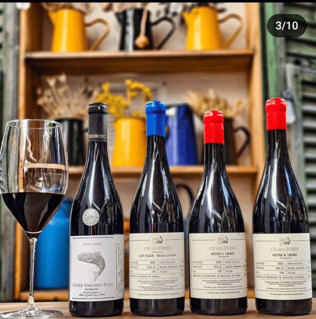 Wine tasting tour - Bucharest - Who Would Enjoy This Tour?