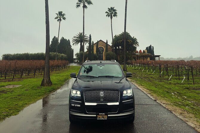 Wine Tour Napa or Sonoma Valley 6 hours - Who Is This Tour Best For?