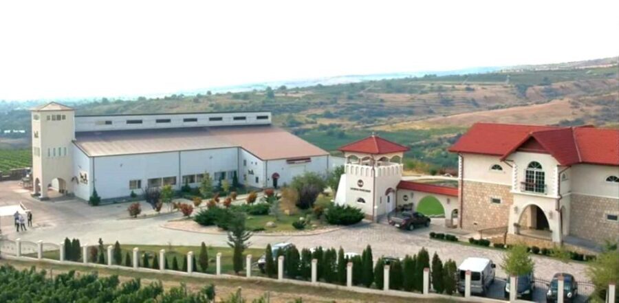 Winery touring & private wine tasting - one day private tour - Transport, Group Size, and Value