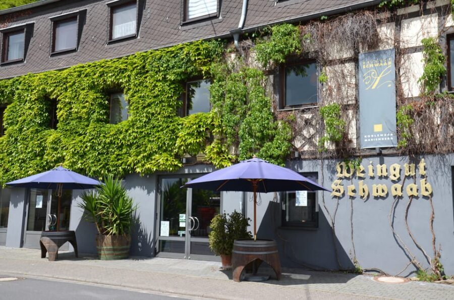 Winetasting / Weinprobe Koblenz - Practical Details and Tips for Visitors