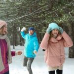 Winter Wonderland Walk: Buffalos Festive Highlights - Detailed Review of the Tour