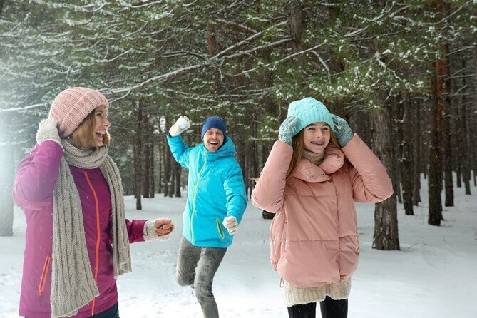 Winter Wonderland Walk: Buffalos Festive Highlights - Detailed Review of the Tour