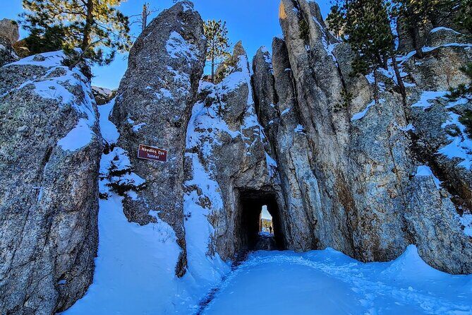 Winter Yellowstone, Grand Teton, and Mount Rushmore 7-day Tour - The Value of This Tour