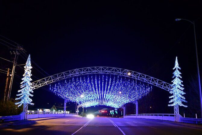 Winterfest Scenic Evening Tour - Why the Winterfest Scenic Evening Tour Stands Out
