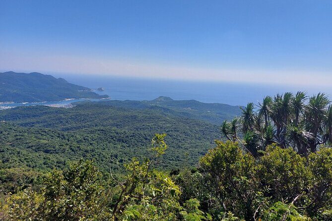 Wonders of Nui Chua National Park - Day Trek in Vinh Hy Bay - Who Should Consider This Tour?