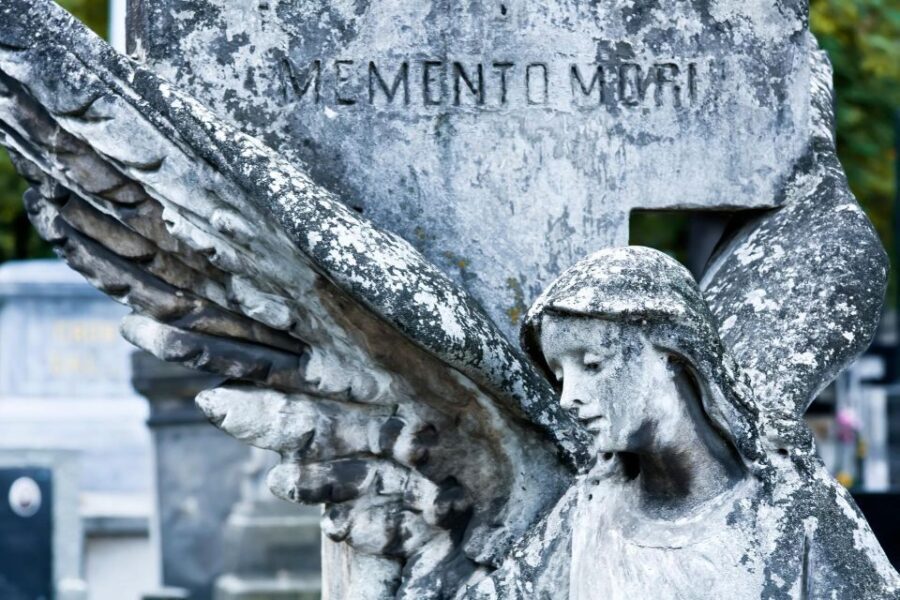 World War II Warsaw Old Town, Military Cemetery Walking Tour - Who Will Enjoy This Tour?
