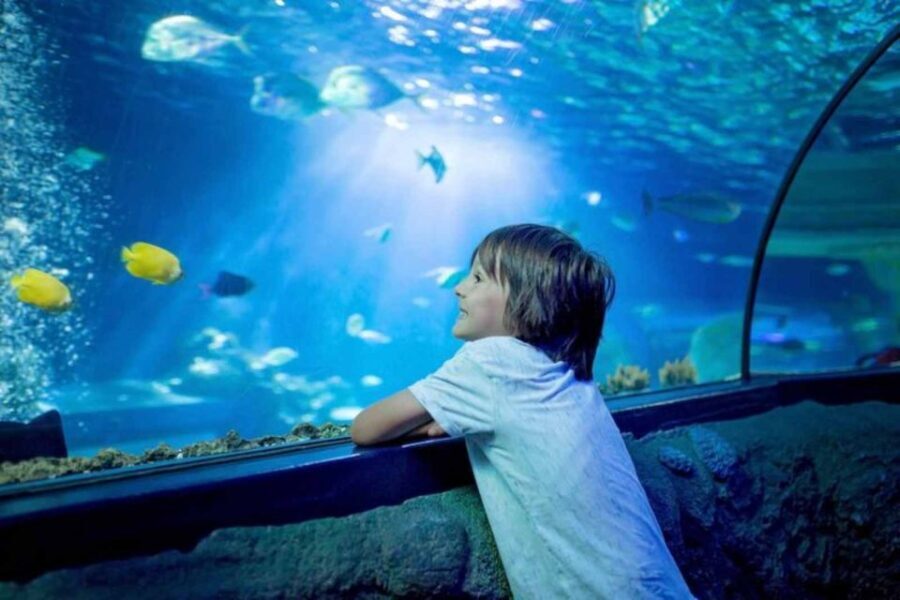 Wrocaw: 2-Hour Guided Tour for Children - Authentic Experiences and Value