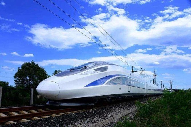 Wuxi Lingshan Grand Buddha Private Tour from Nanjing by Bullet Train - The Experience and Guide