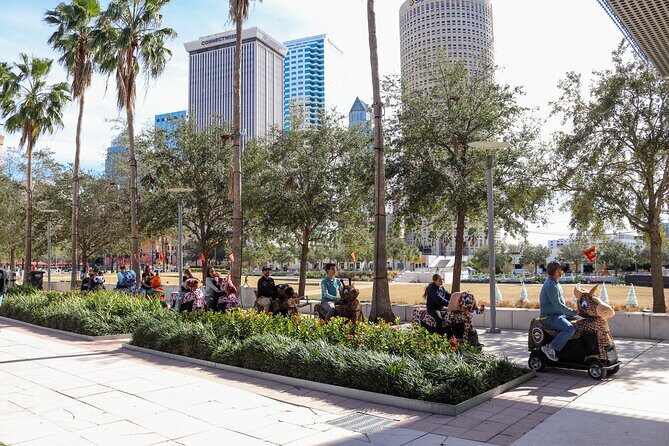 Wyld Things Rydables Tour of Tampa - The Practicalities: What You Should Know