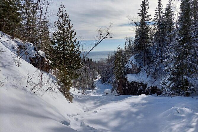 XC Ski or Hok Ski Rental Package - Authentic Insights from Past Reviews