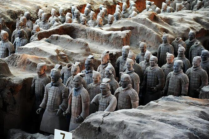 Xi'an Highlights Private Day Tour: Terracotta Warriors, City Wall - The Sum Up