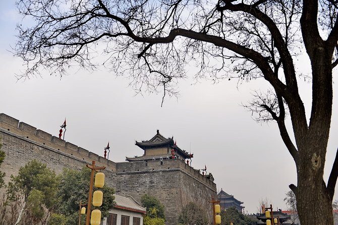 Xi'an Private Day Tour from Beijing with Deluxe Soft Sleeper Train Experience - The Train Experience: Comfort and Convenience