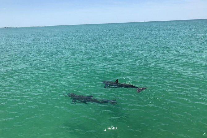 Yacht Charter Madeira beach and Tampa Bay - An In-Depth Look at the Yacht Charter Madeira Beach and Tampa Bay Experience