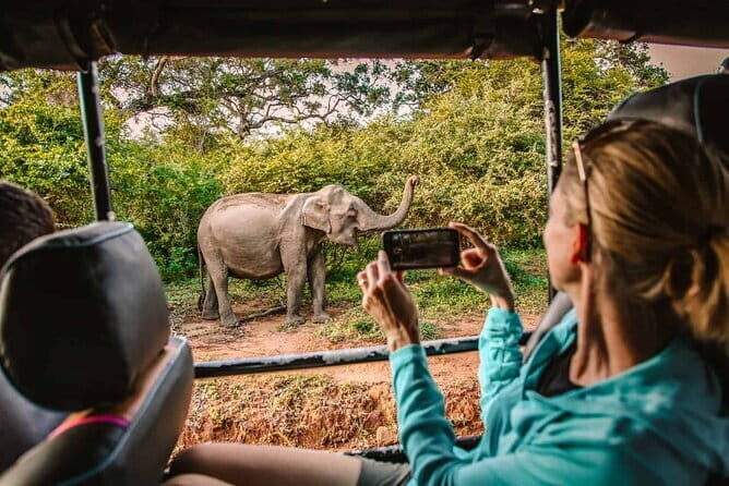 Yala National Park Safari from Tangalle - The Practicalities: What You Need to Know