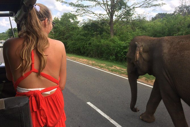 Yala Safari Drive From Galle, Weligama, Mirissa & Dickwella - The Practicalities: Transportation, Costs, and Timing