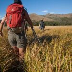 Yellowstone Full Day Private Hike - FAQs