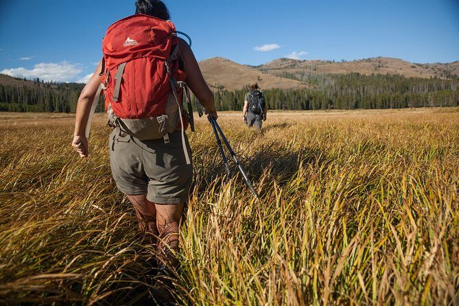 Yellowstone Full Day Private Hike - FAQs