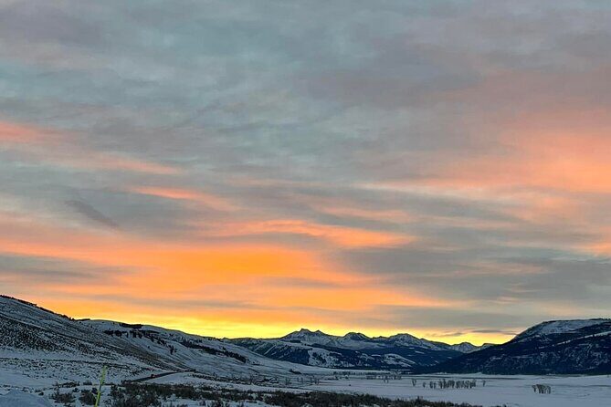 Yellowstone Full-Day Upper Loop with Wildlife Adventure w/Lunch - The Human Element: Guides You Can Trust