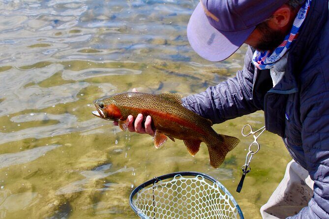 Yellowstone Full Day Wade Fishing Trip - The Itinerary in Detail