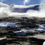 Yellowstone Full Day Winter Tour (With Optional Hike or Snowshoe) - Who Should Consider This Tour?