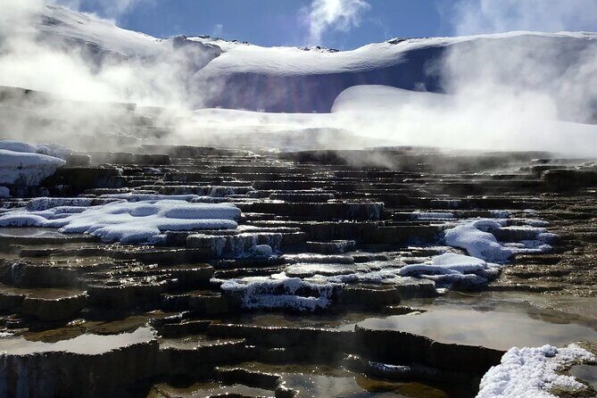 Yellowstone Full Day Winter Tour (With Optional Hike or Snowshoe) - Who Should Consider This Tour?