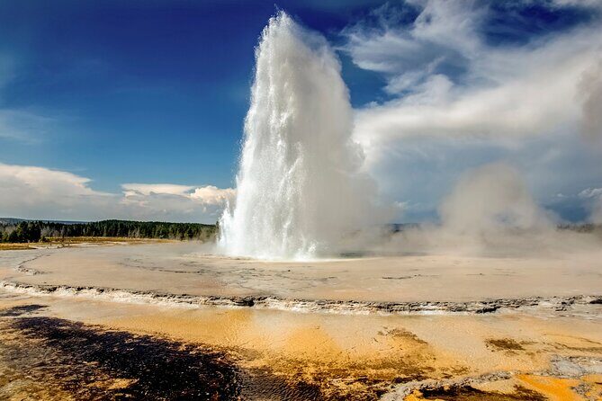 Yellowstone & Grand Teton National Parks: Small Group 4-Day Tour - What Travelers Say