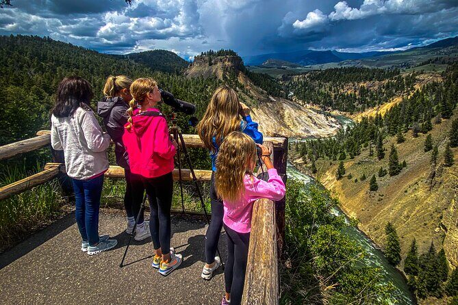 Yellowstone & Grand Teton Nat'l Parks Day Tour - Private Tour - Why Travelers Love This Tour