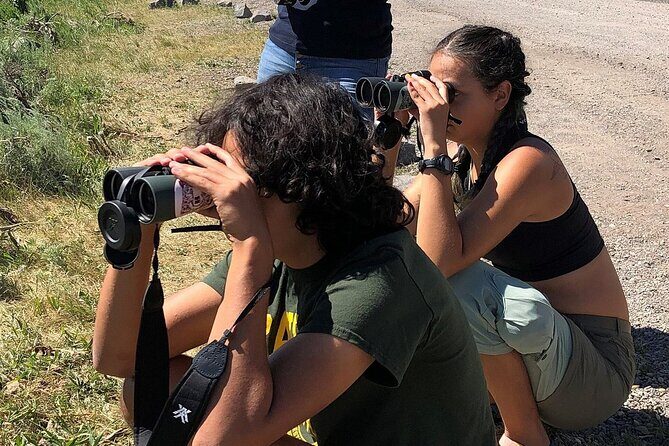 Yellowstone National Park Private Guided Tour - Full Day - Who Is This Tour Best For?