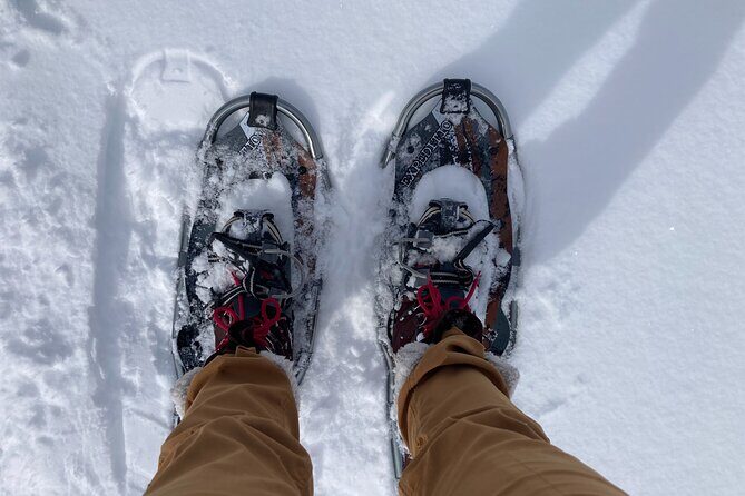 Yellowstone Snowshoe Adventure - Private Tour from Jackson Hole - Equipment, Food, and Comfort