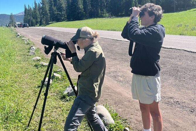 Yellowstone's Lamar Valley Wildlife Safari from Gardiner - Final Thoughts: Who Will Love This Tour?