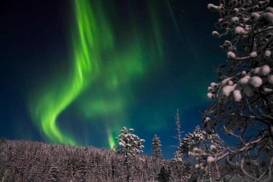 Ylläs: Seeking Northern Lights Photo Tour - Value & Cost Analysis