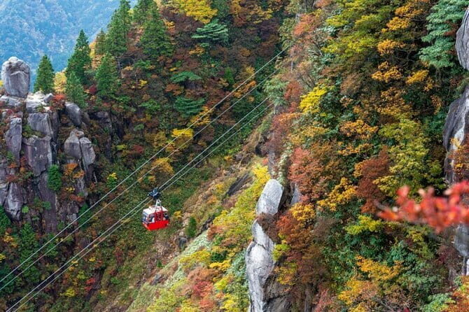 Yoro Falls and Mt. Gozaisho Scenic Ropeway from Nagoya - Who Will Enjoy This Tour?