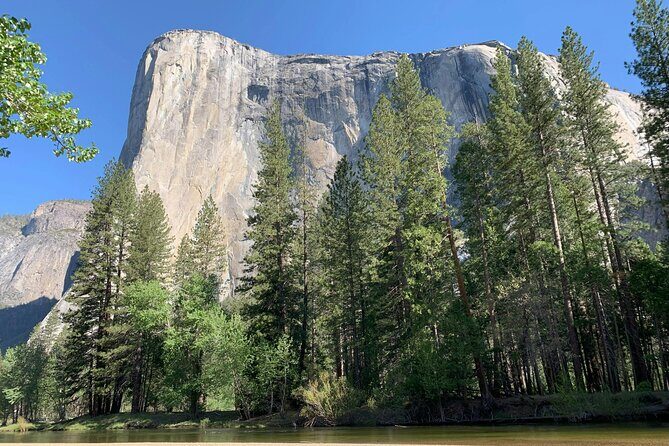 Yosemite Adventure: Full-Day Private Tour from San Francisco - In-Depth Look at the Itinerary