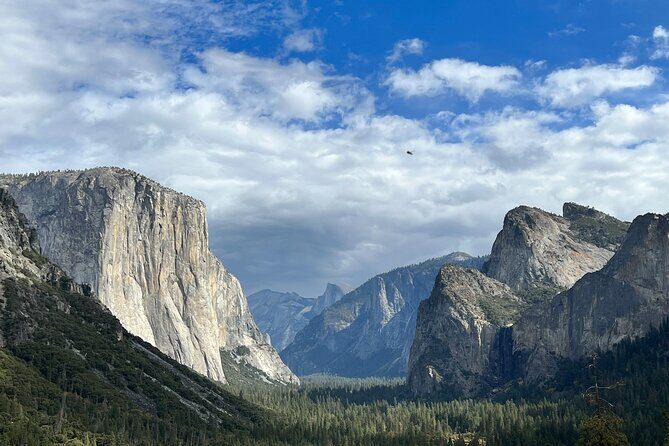 Yosemite Full Day Private Tour - Who Is This Tour Best For?