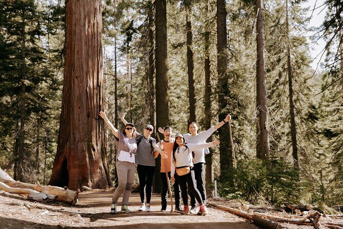 Yosemite National Park & Giant Sequoias 2-Day Semi-Guided Tour - What Travelers Say: Authentic Insights
