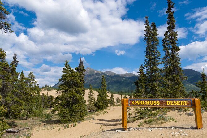 Yukon Escapade: Lakes, Wilderness, and Hidden Gems - What the Tour Means for You