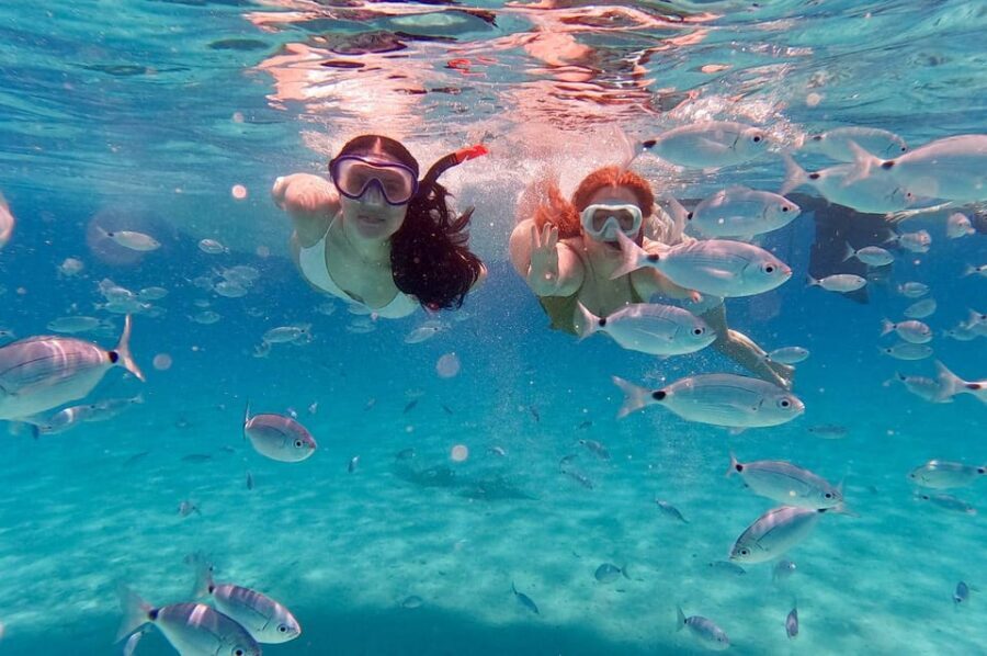 Zadar: Dugi Otok Island Discovery Day Trip with Snorkeling - Analyzing the Value