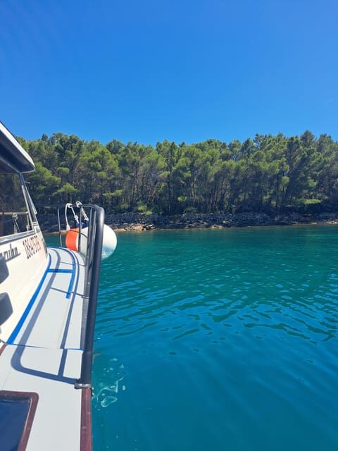 Zadar: Private Tour to Ugljan, Osljak and Galevac - half day - The Sum Up: Is It Worth It?