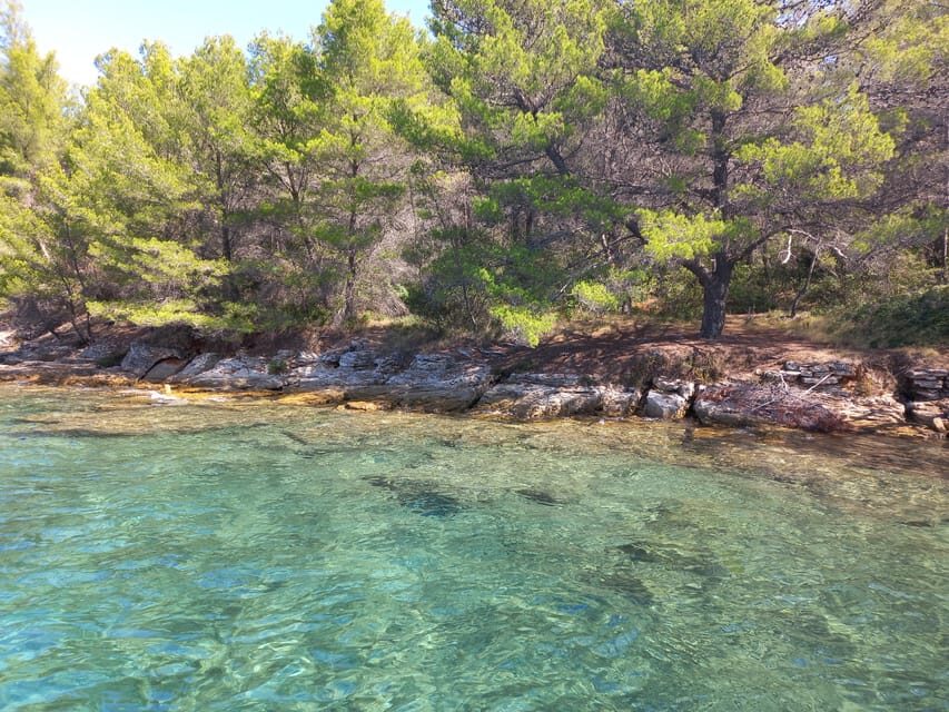 Zadar: Sea, Sun, and Wind Half-Day Sailing Adventure - The Experience and Atmosphere
