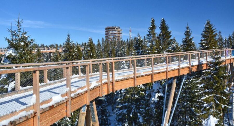 Zakopane: Bachledka Treetop Walk and Strbske Pleso Tour - The Treasures of the Treetop Walk