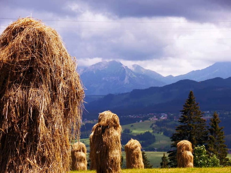 Zakopane Old Town Exclusive Walking Tour with Private Guide - Who Will Love This Tour?