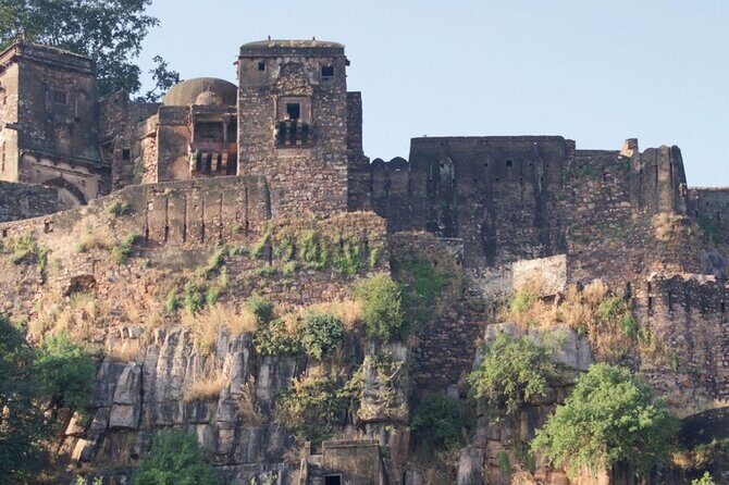 03 Days Private Ranthambore Wildlife Safari Tour From Delhi - What Makes This Tour Stand Out