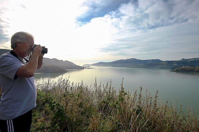 1/2-day Christchurch Scenic Highlights (Small Group Tour) - Who Will Love This Tour?