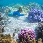 1/2 day Tahaa coral garden - departure Raiatea / ideal for cruise passengers - Authentic Underwater Encounters and Practical Tips