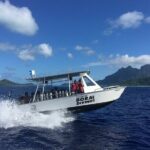 1 Afternoon Dive for Certified Divers in Bora Bora - The Sum Up