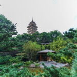 1 Day Chongqing Megacity Walking Tour - Who Will Love This Tour?