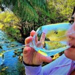 1-Day Cruise in Queen Charlotte Track & Kupes Trail Walk - The Itinerary Breakdown: What to Expect