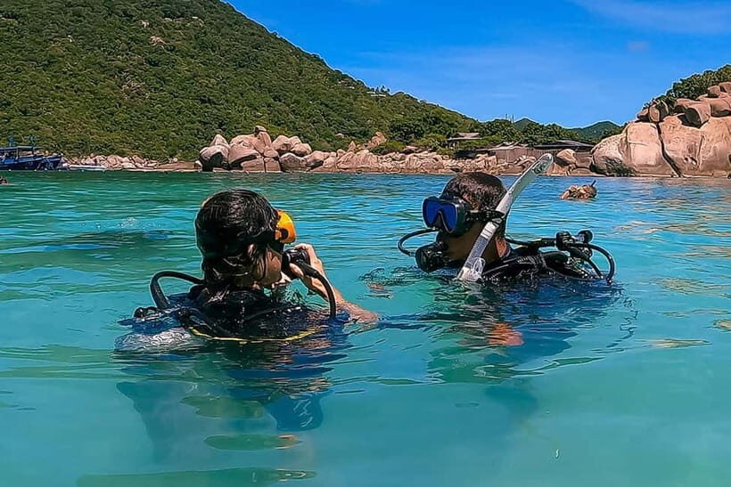 1-Day Discover Scuba Diving for Beginners in Koh Tao - Overview of the Experience